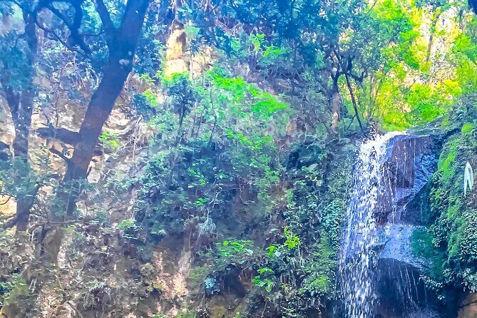 Full Day Bromeliad Forest Tour from Oaxaca - What’s Included and What’s Not