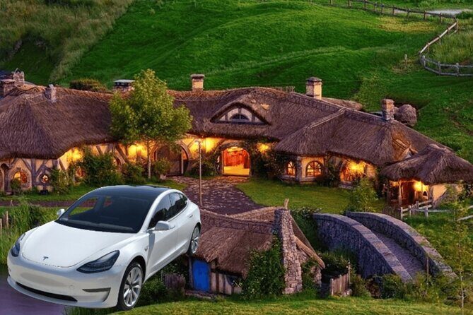 Full-Day Driver with Tesla Car-Customisable North Island Tour - What Travelers Say