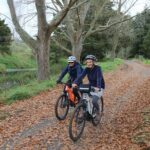 Full Day Ebike Tour in Karangahake Gorge (ex Auckland) - What the Reviews Say