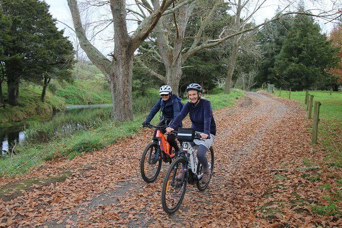 Full Day Ebike Tour in Karangahake Gorge (ex Auckland) - What the Reviews Say