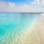 Full-Day El Cielo Snorkel Tour in Cozumel with Transportation and Lunch - What’s Included and What’s Not