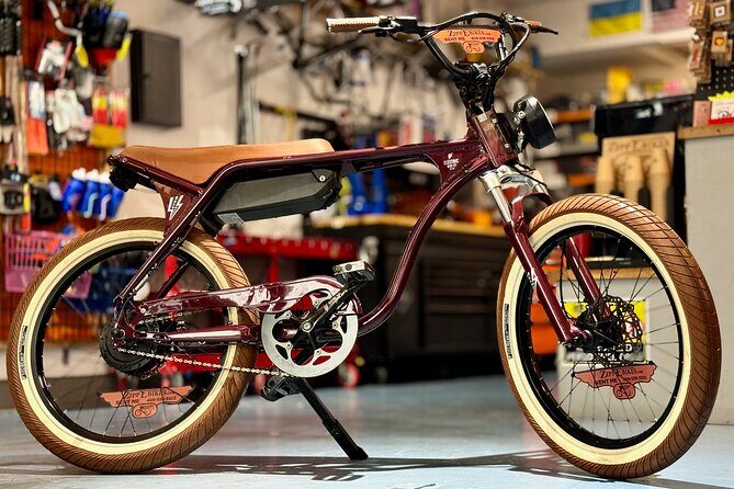 Full Day Electric Bike Rental in Galveston Texas - Who Should Consider This Experience?