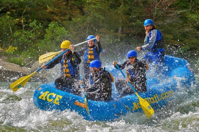 Full Day Fall Lower Gauley Rafting in West Virginia - Authentic Experiences and Guide Insights