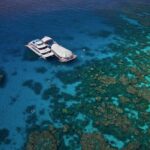 Full-Day Great Barrier Reef Pontoon with Snorkeling & Activities - Reef Conditions and Authentic Experiences