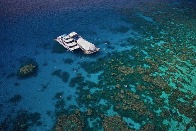 Full-Day Great Barrier Reef Pontoon with Snorkeling & Activities - Reef Conditions and Authentic Experiences