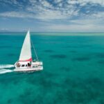 Full-Day Great Barrier Reef Sailing Trip from Cairns - The Reef Sites: Why They’re Special