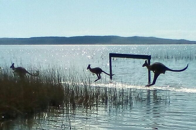 Full-Day Guided Noosa Everglades Kayak Tour - The Day’s Itinerary in Detail