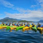 Full day Guided Sea Kayak Tour from Picton - Practical Details