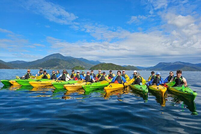 Full day Guided Sea Kayak Tour from Picton - Practical Details
