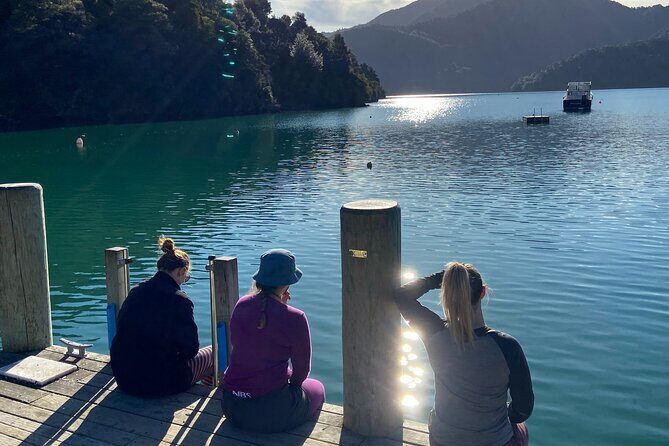 Full-Day Guided Sea Kayak Trip from Picton - What’s Included and What to Expect