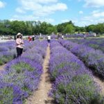 Full-Day Highlights of Prince Edward County Private Tour - Final Thoughts: Who Is This Tour Best For?