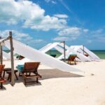 Full-Day Holbox Island Boat and Buggy Tour with Lunch - The Highlights of the Itinerary