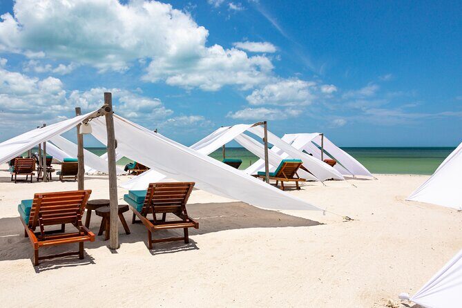 Full-Day Holbox Island Boat and Buggy Tour with Lunch - The Highlights of the Itinerary
