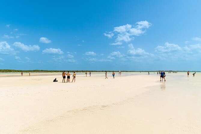 Full Day Holbox Island Tour from Playa del Carmen with Lunch - Who Should Consider This Tour?