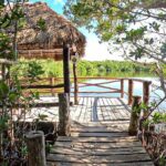 Full-Day Isla Contoy Sailing Nature Experience in Mujeres - What’s Included and What to Expect