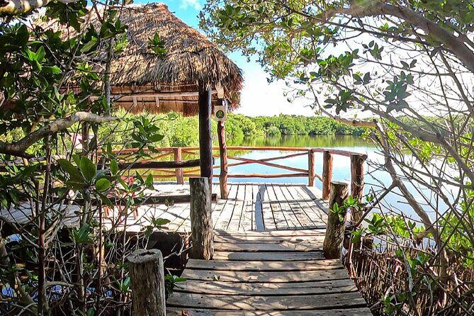 Full-Day Isla Contoy Sailing Nature Experience in Mujeres - What’s Included and What to Expect