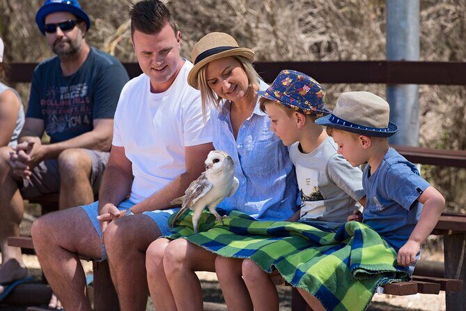 Full Day Kangaroo Island Sip and See Tour departing from Kangaroo Island - What We Love and What to Consider