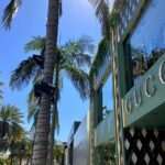 Full-Day LA Iconic Sites Tour From Hollywood with Six Stops - Who Will Love This Tour?