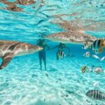 Full Day Lagoon Group Tour in Bora Bora with Lunch - Why This Tour Is Worth It