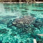 Full-day Lagoon Safari Tour with Lunch in Bora Bora - Shared tour - The Itinerary in Detail