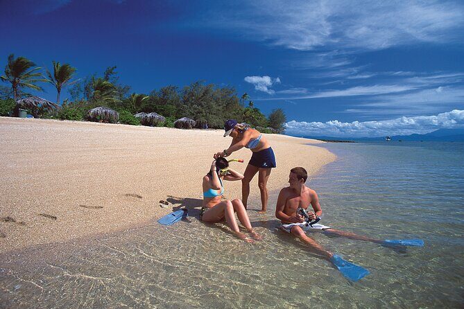 Full Day Low Isles Sailing & Snorkelling Cruise from Port Douglas - Price and Value