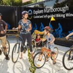 Full-Day Marlborough Wine Region Bike Hire - What to Expect on the Tour