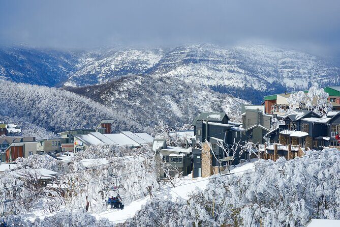 Full-Day Mount Buller Tour - Is the Full-Day Mount Buller Tour Worth It?