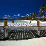 Full Day Nature Expedition to Contoy Island and Isla Mujeres - In-Depth Breakdown of the Itinerary