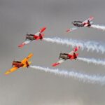 Full-Day Omaka Aviation Heritage Center and Wine Tasting Tour - What Makes This Tour Stand Out?