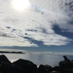 Full day Outdoor Rock Climbing Auckland at Ti Point - What Makes This Tour Stand Out?