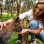 Full-Day Penguins and Wildlife Nature Experience from Melbourne - In-Depth Breakdown of the Itinerary