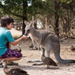 Full-Day Phillip Island Tour with Kangaroo, Koala and Penguin Parade - Transportation and Group Experience