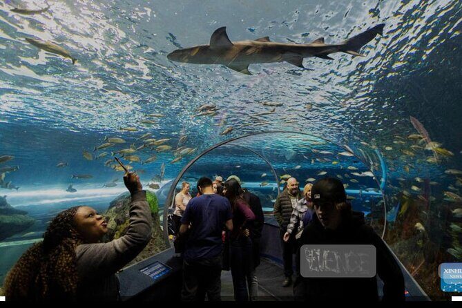 Full Day Private Sightseeing Tour in Toronto - Detailed Breakdowns of the Itinerary