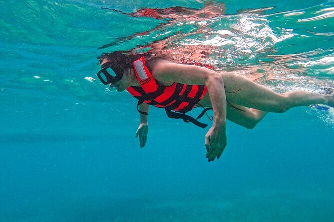 Full-Day Private Snorkel Tour in Tulum and Sian Kaan - What’s Included & What’s Not