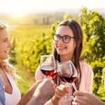 Full-Day Private Sonoma Valley Wine Tour from San Francisco - The Experience of the Day: What Makes It Special