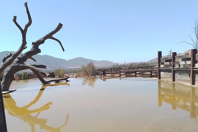 Full Day Private Tour or Guadalupe Valley Weekend - Frequently Asked Questions