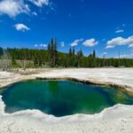 Full Day Private Wildlife/Geyser Tour from West Yellowstone - In-Depth Look at the Itinerary