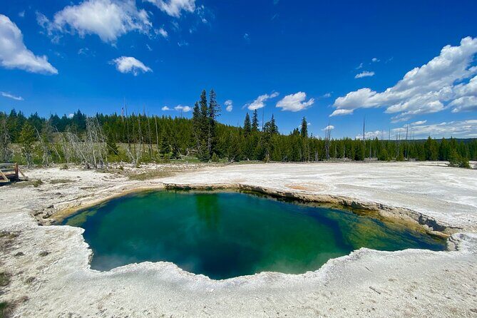 Full Day Private Wildlife/Geyser Tour from West Yellowstone - In-Depth Look at the Itinerary