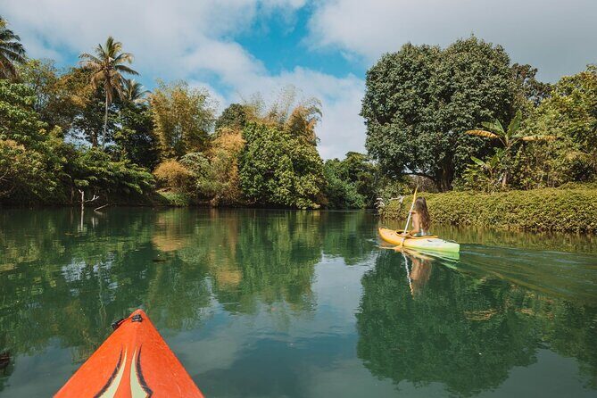 Full Day River Kayaking & Cascades from Port Vila - The Details That Make or Break the Experience