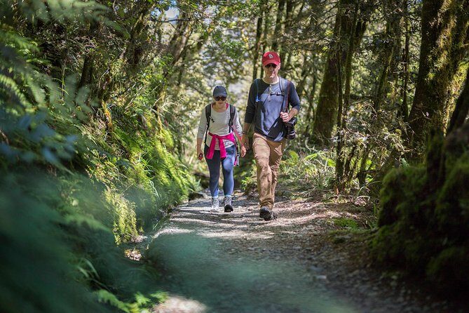 Full-Day Routeburn Track Key Summit Guided Walk from Te Anau - What’s Included and What to Bring