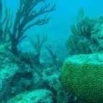 Full-Day Sailing Trip to Mujeres Island from Playa del Carmen - Final Thoughts