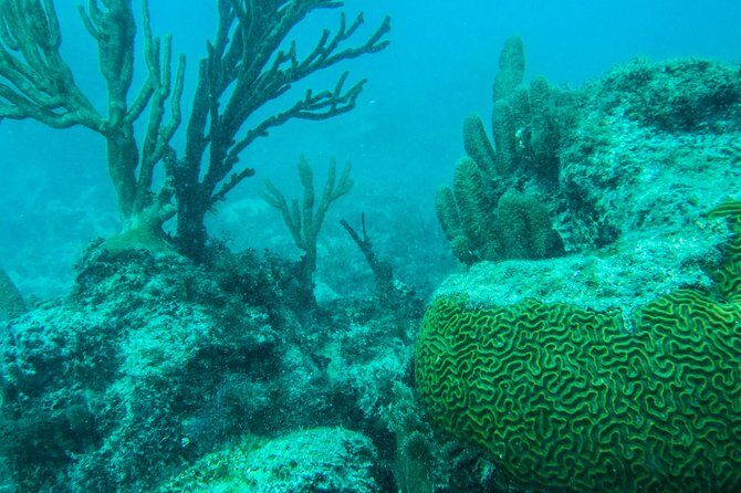 Full-Day Sailing Trip to Mujeres Island from Playa del Carmen - Final Thoughts