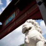 Full-Day small-group Montreal tour with Pickup and a Local Taste - Why This Tour Offers Great Value