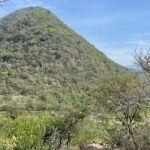 Full Day Teotitlan Del Valle Village Private Tour - Practical Details: Transportation, Price, and Group Size