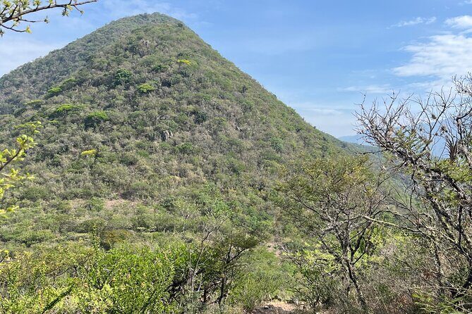 Full Day Teotitlan Del Valle Village Private Tour - Practical Details: Transportation, Price, and Group Size