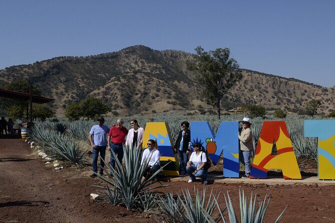 full day Tequila tour visiting artisanal distillery and downtown. - Practicalities and Value