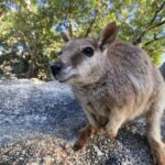 Full-day Tour at the Atherton Tablelands with Food Tasting - An In-Depth Look at the Atherton Tablelands Tour