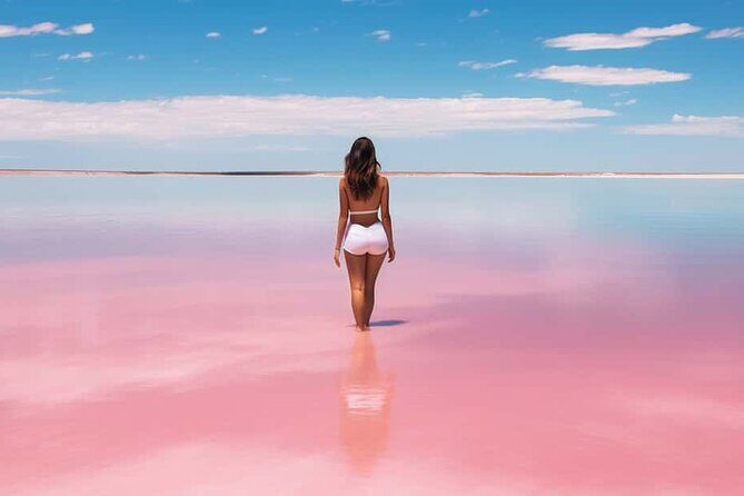 Full Day Tour from Cancun Rio Lagartos and Las Coloradas - Who Would Love This Tour?
