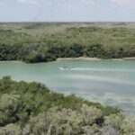 Full Day Tour from Tulum to Rio Lagartos - Evaluating the Value