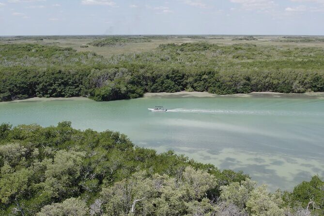 Full Day Tour from Tulum to Rio Lagartos - Evaluating the Value